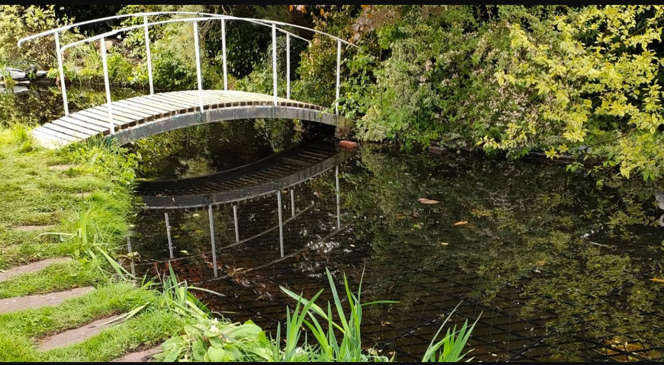 Garden Water Safety